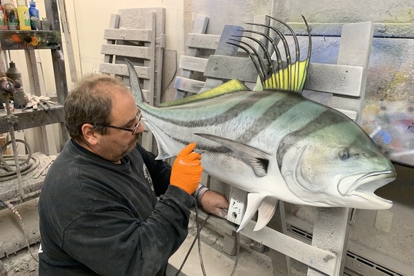 Roosterfish Fish Mounts & Replicas by Coast-to-Coast Fish Mounts