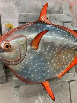 Opah Fish Mounts & Fish Replicas
