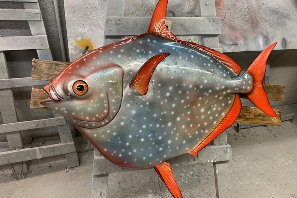 Opah Fish Mounts & Fish Replicas