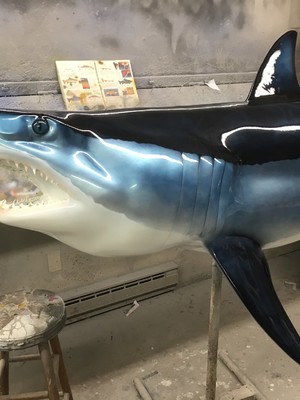 Mako Shark Fish Mounts & Fish Replicas